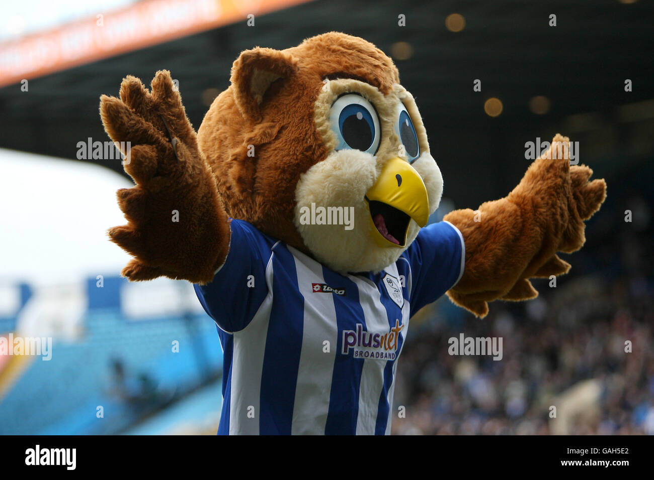 Sheffield wednesday mascot barney owl hi-res stock photography and ...