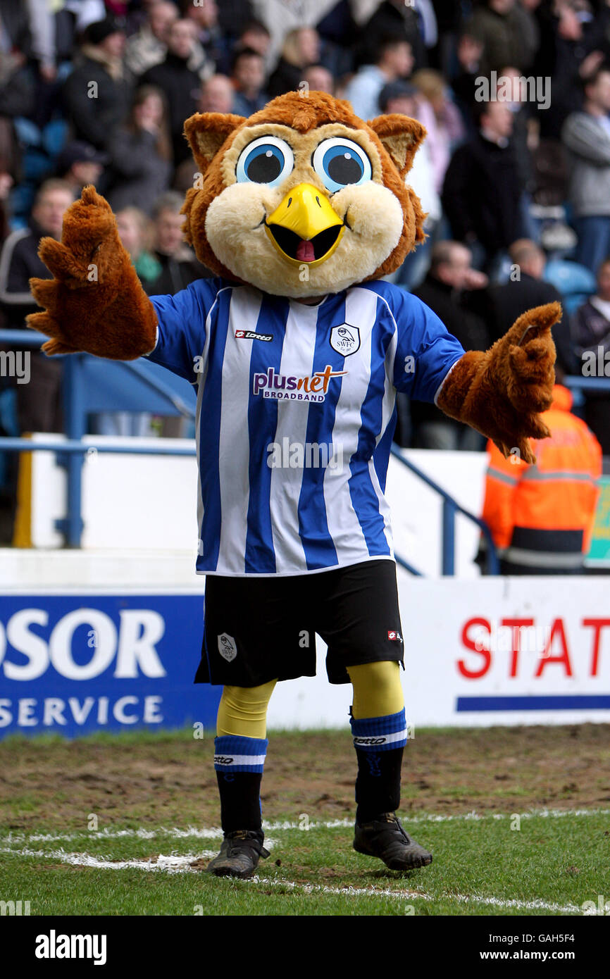 Sheffield wednesday mascot barney owl hi-res stock photography and ...