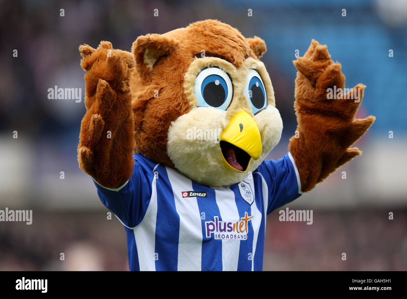 Soccer - Coca-Cola Football League Championship - Sheffield Wednesday v ...