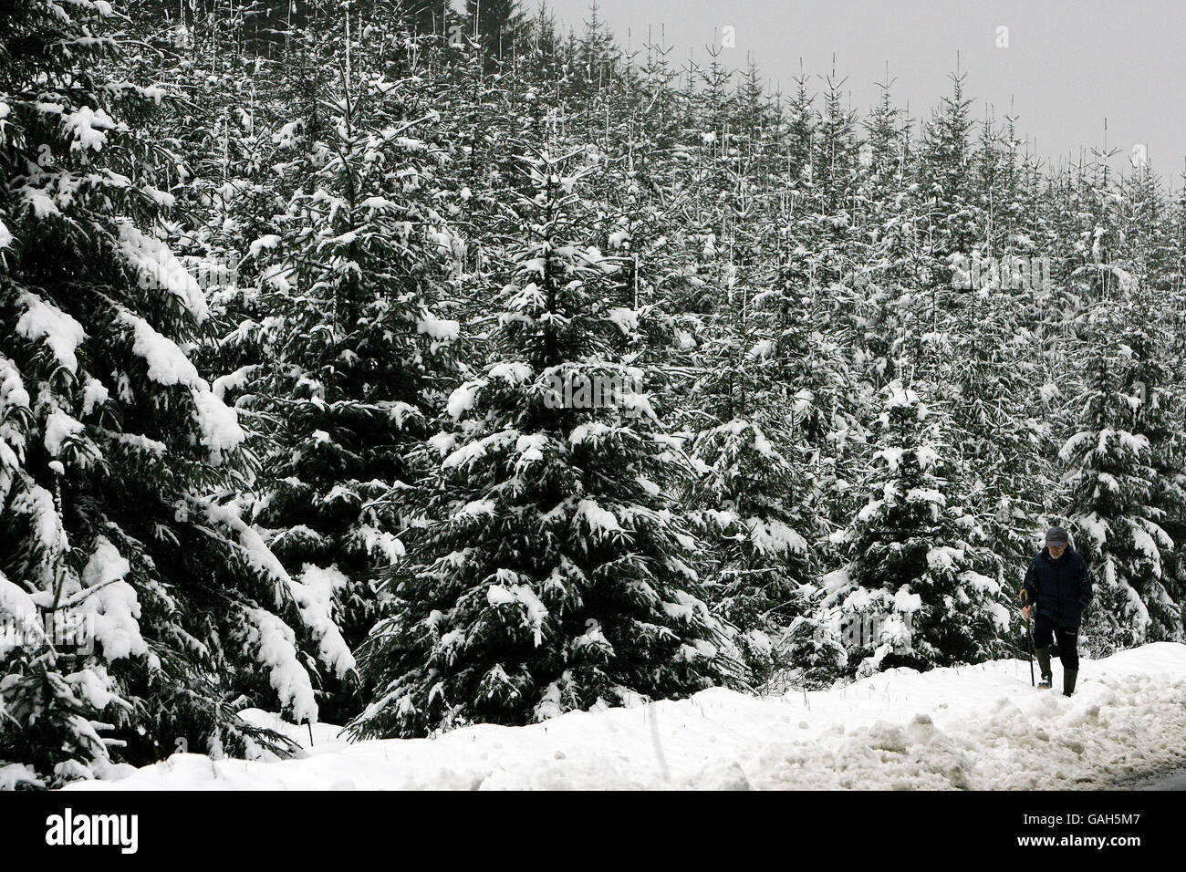 Snow hits the UK Stock Photo - Alamy