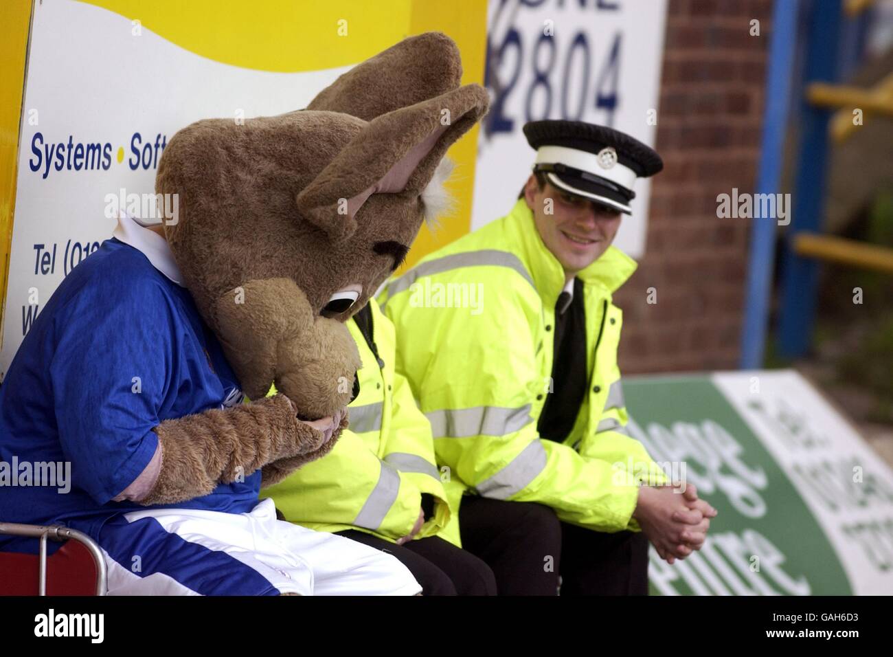 Chesterfield mascot hi-res stock photography and images - Alamy