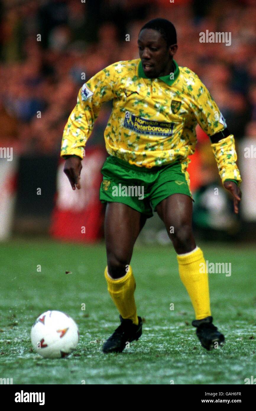 Ruel fox hi-res stock photography and images - Alamy