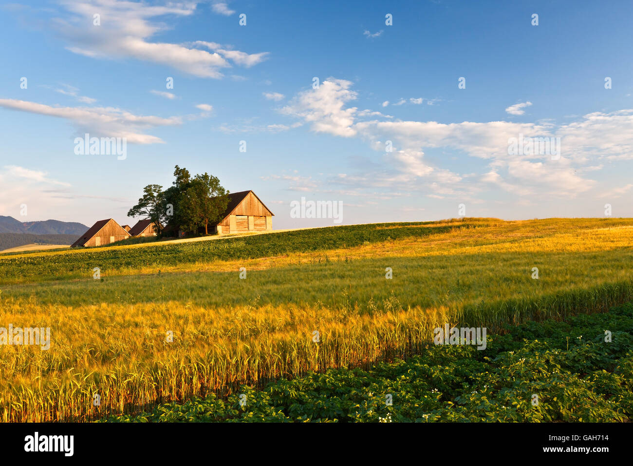 Traditional barns in Turiec region, northern Slovakia Stock Photo - Alamy