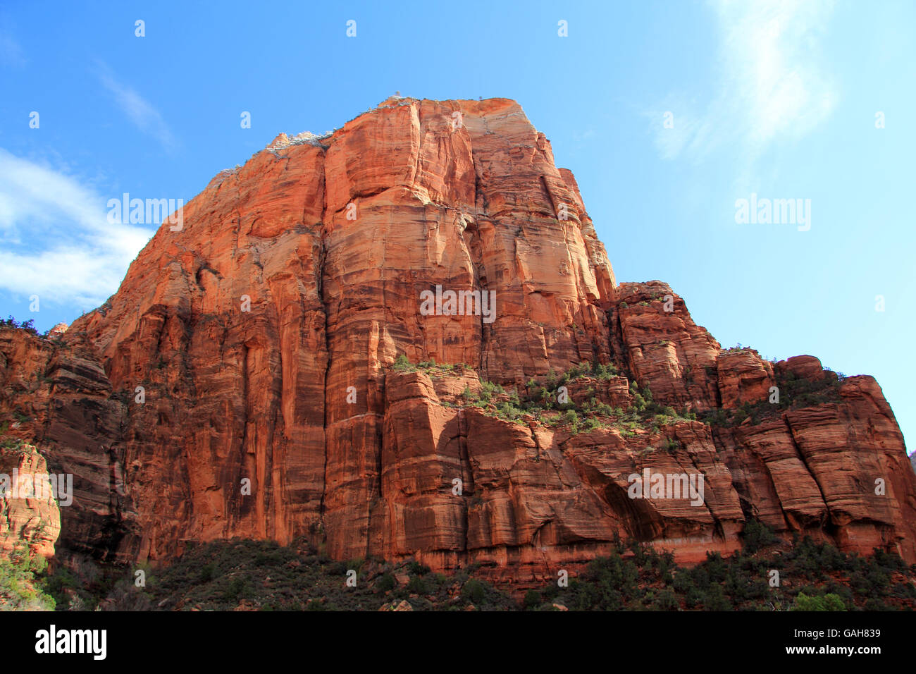 Angels Landing in Zion National Park, Utah Stock Photo - Alamy