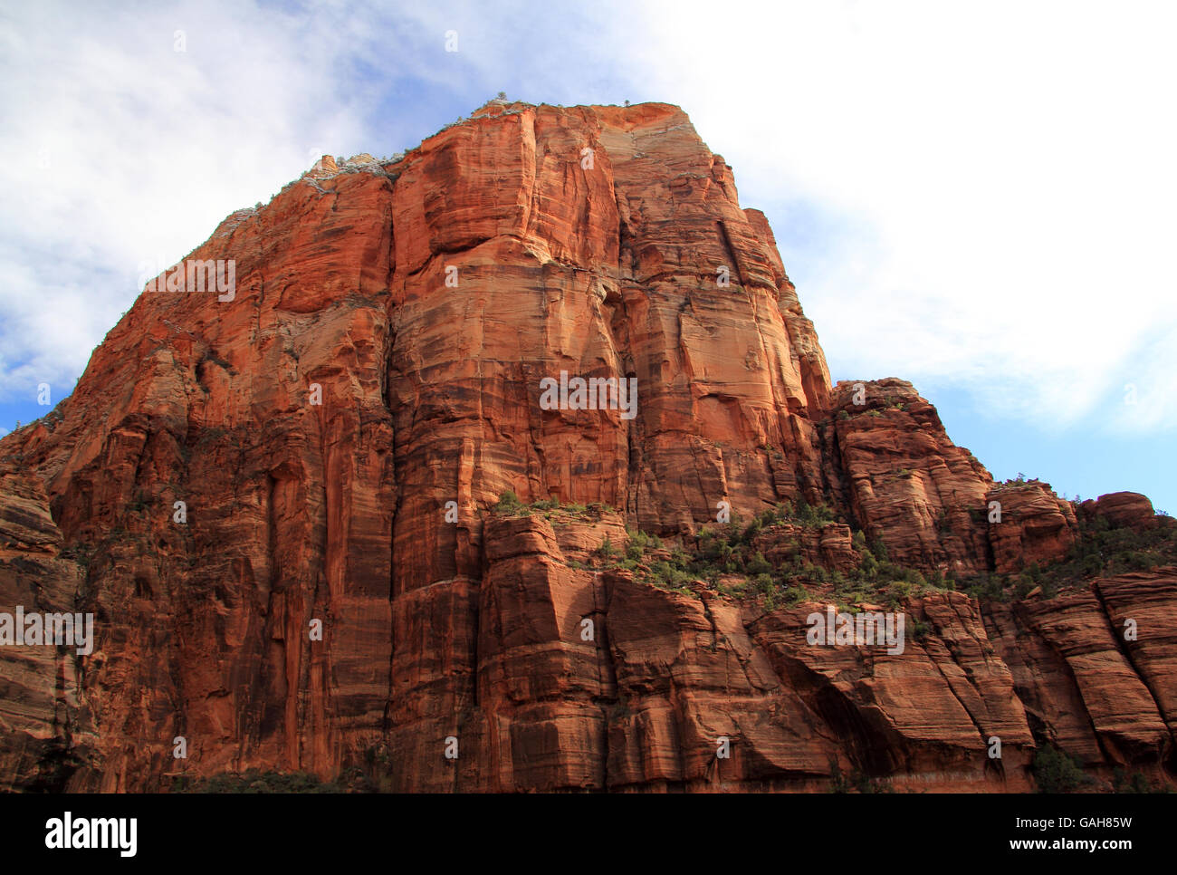 Angels Landing in Zion National Park, Utah Stock Photo - Alamy