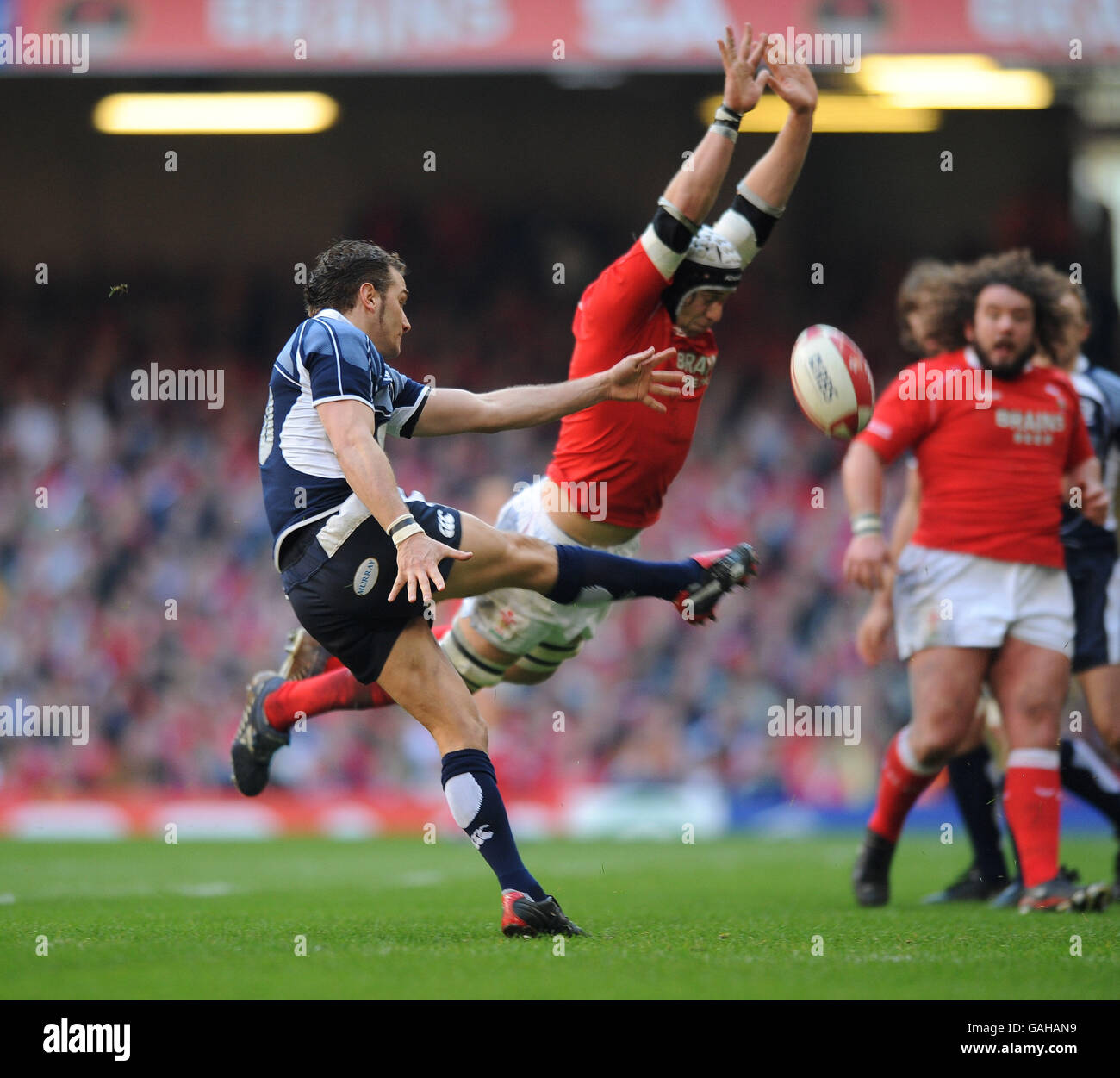 Wales ryan jones charges down kick from scotlands dan parks hi-res ...