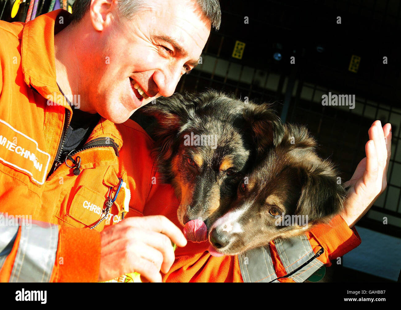 Dog handler Chris Pritchard with Collies Gemma and Abby, part of a new ...