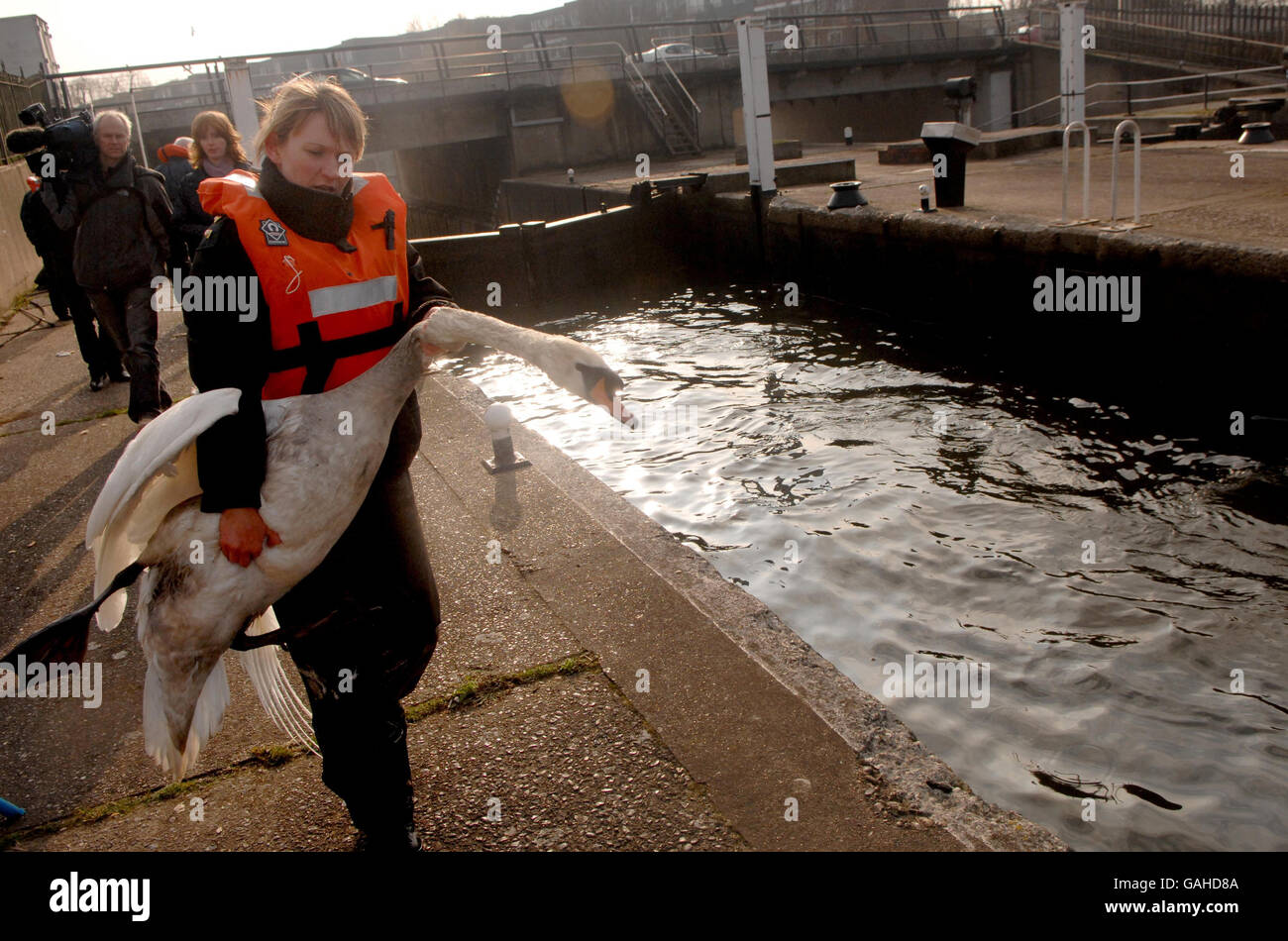 Rspca inspector hi-res stock photography and images - Alamy