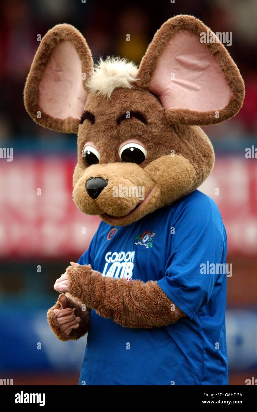 Chesterfield mascot chester the fieldmouse hi-res stock photography and ...