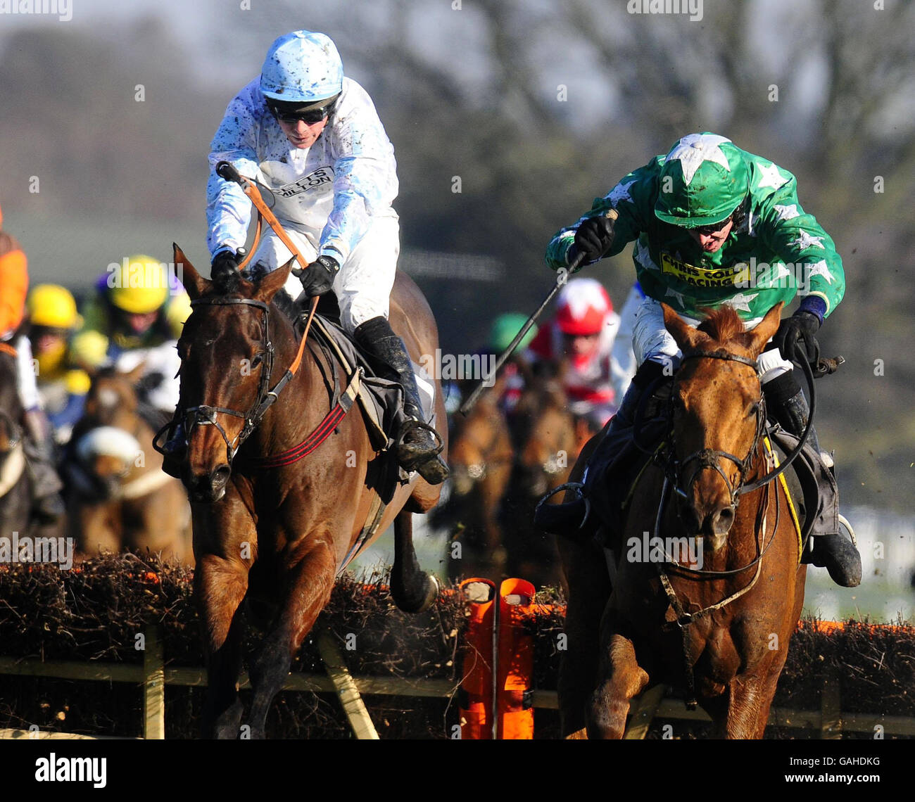 Backbord and jockey Dominic Elsworth (left) catch Peacock and jockey ...