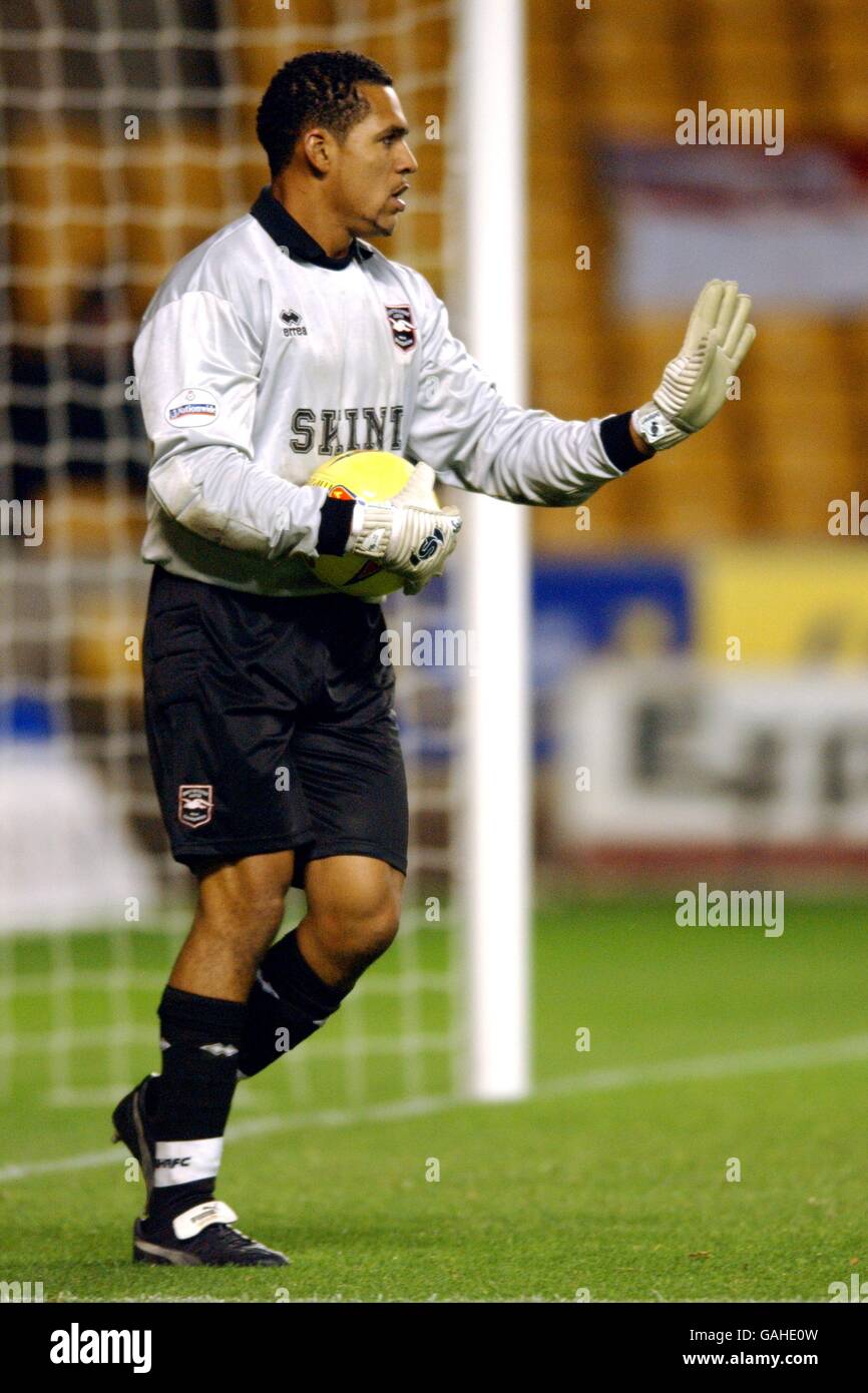 Brighton and hove albion goalkeeper michel kuipers hi-res stock ...