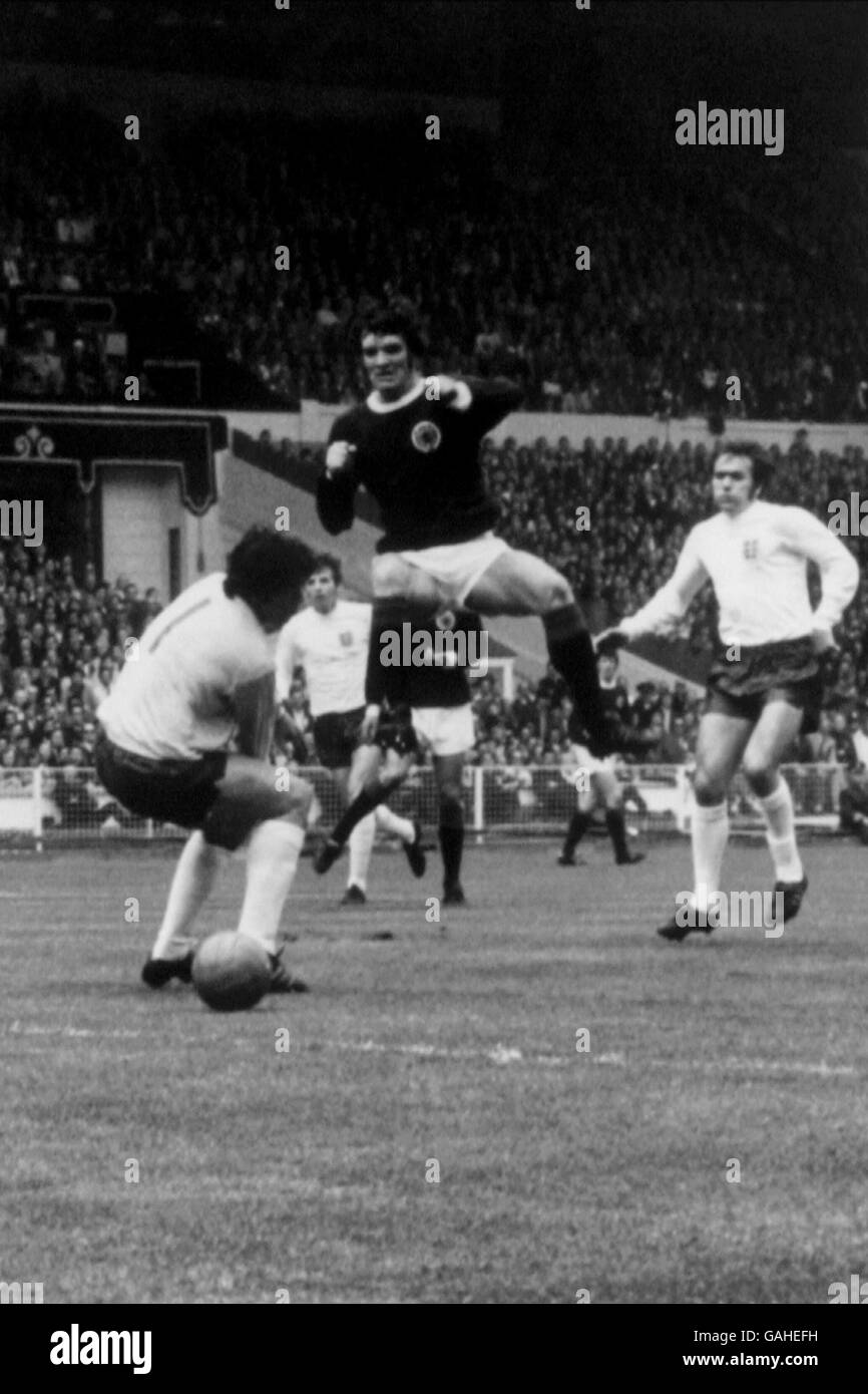 Terry curran football Black and White Stock Photos & Images - Alamy