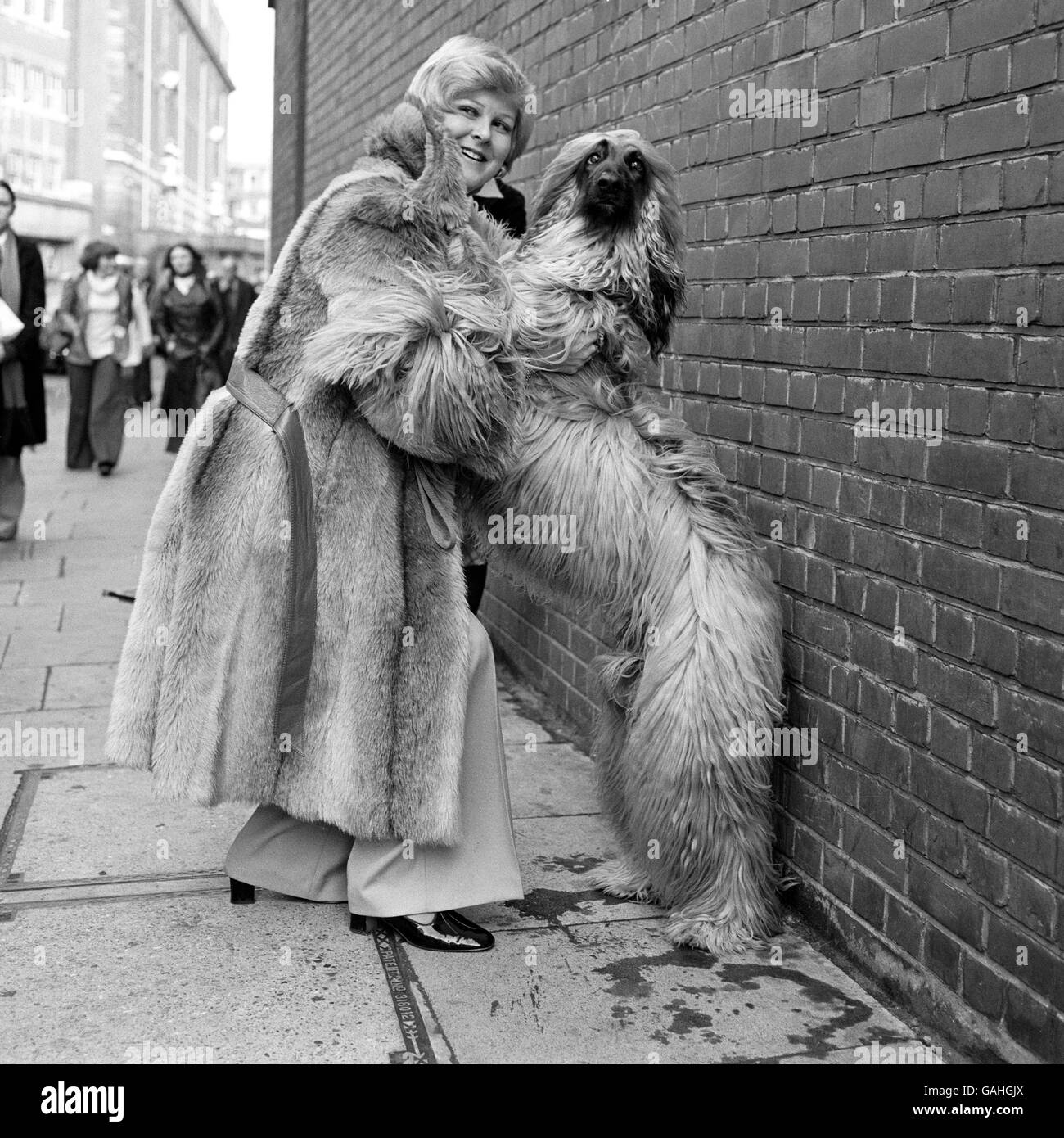 Stand animals Black and White Stock Photos & Images - Alamy