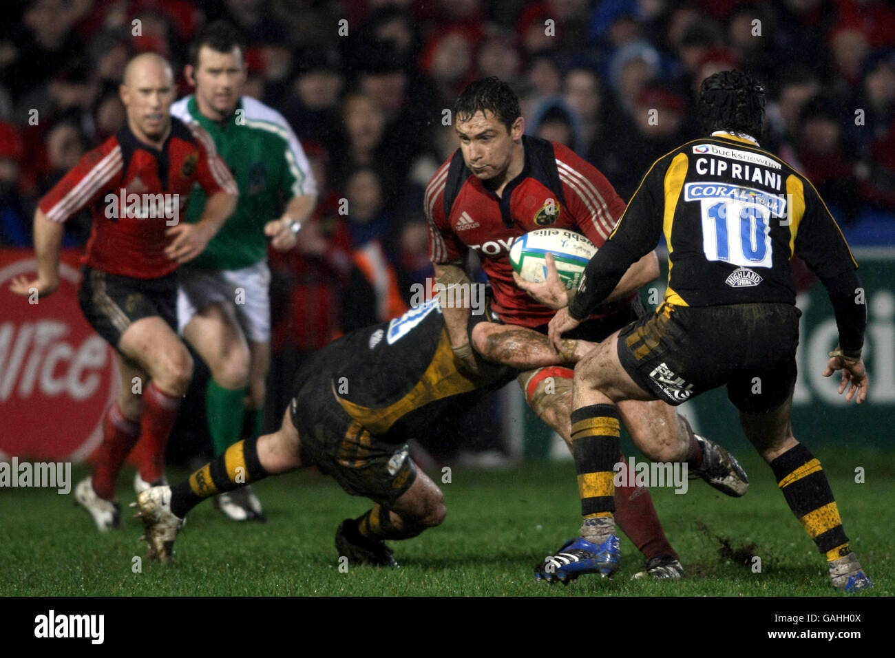 David wallace munster wasps hi-res stock photography and images - Alamy