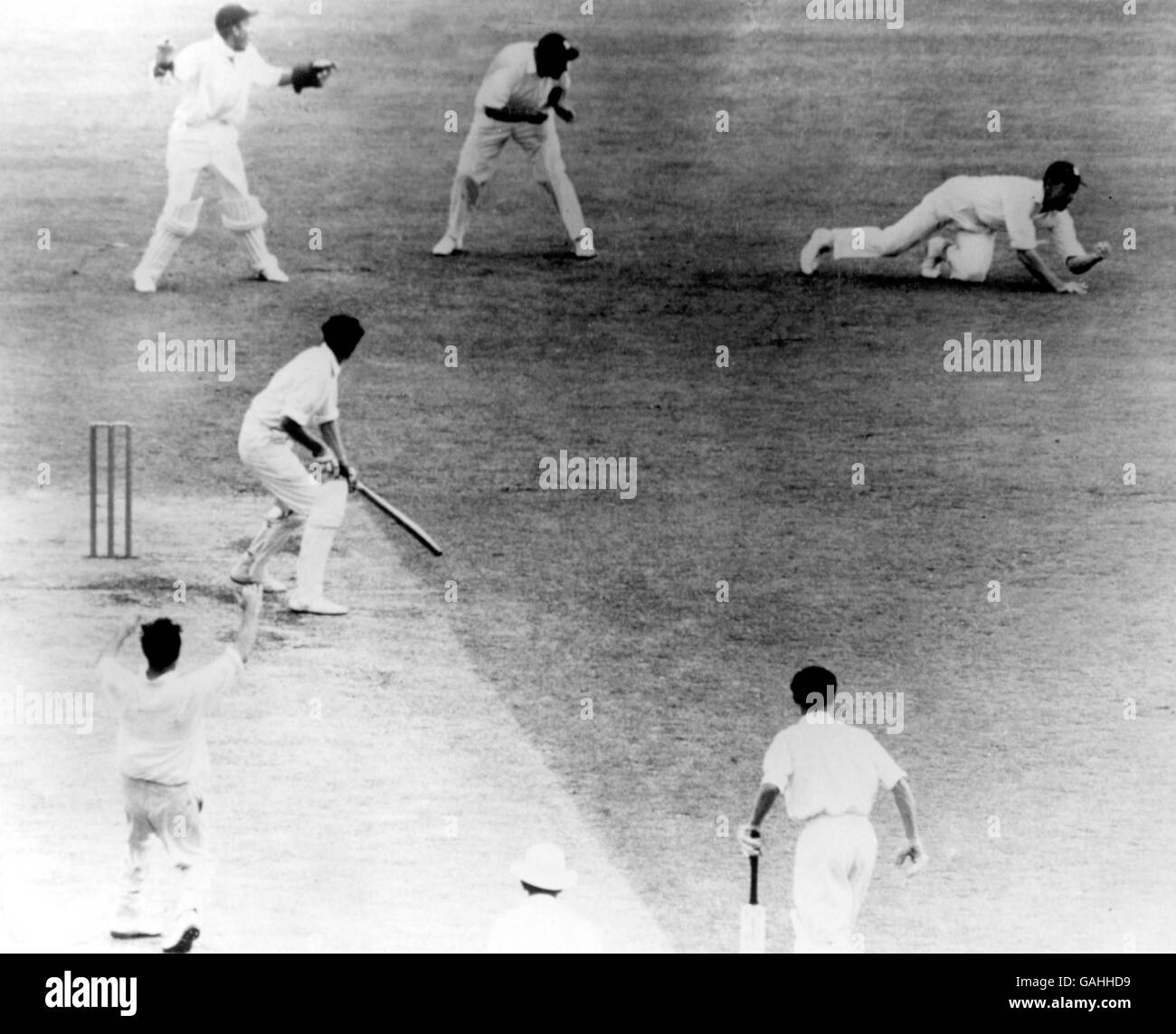 David sheppard hi-res stock photography and images - Alamy