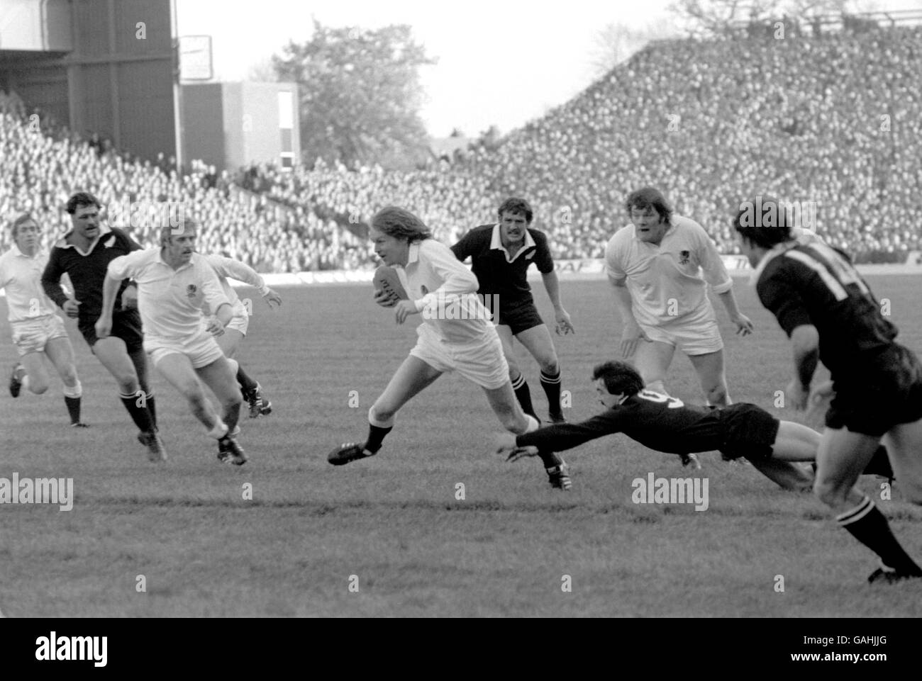 Rugby union test england v new zealand hi-res stock photography and ...