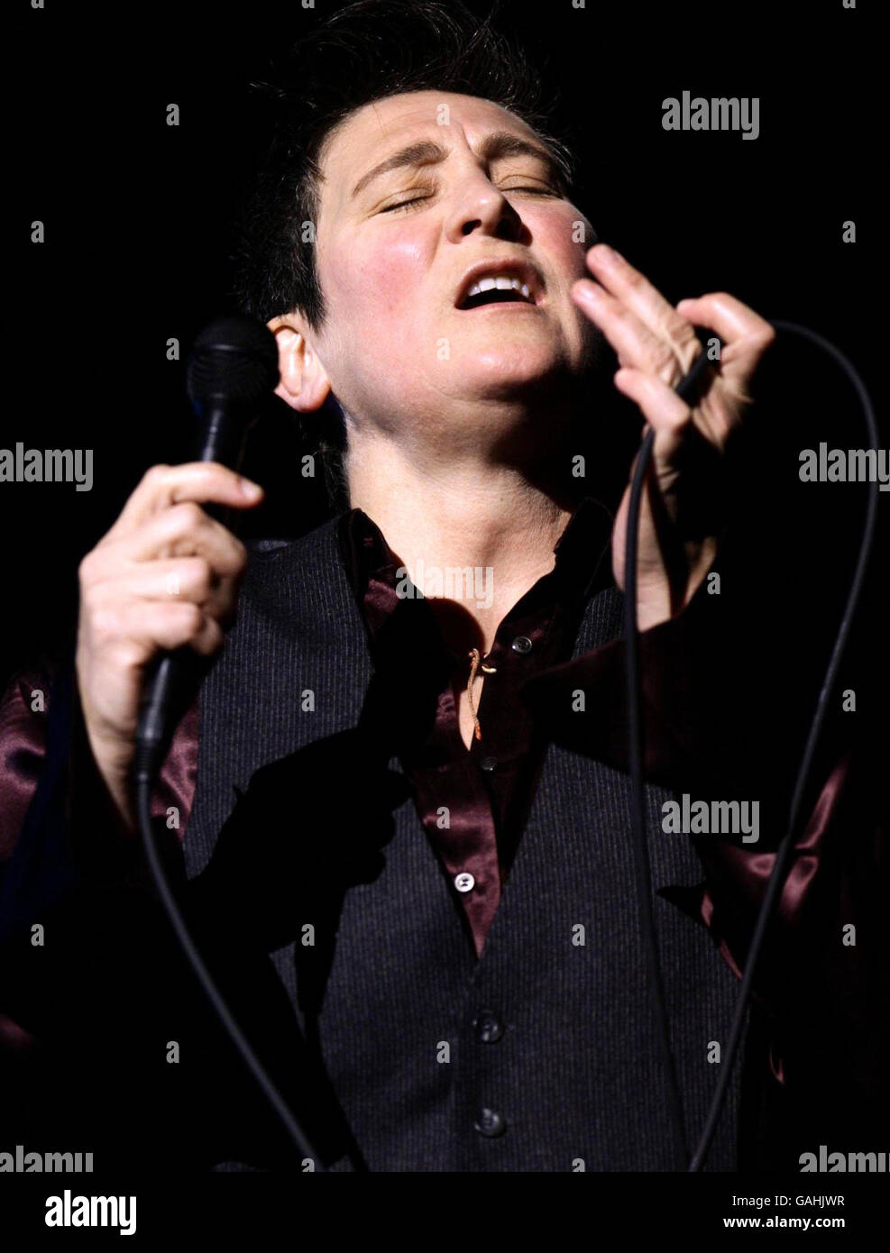 K d lang hi-res stock photography and images - Alamy
