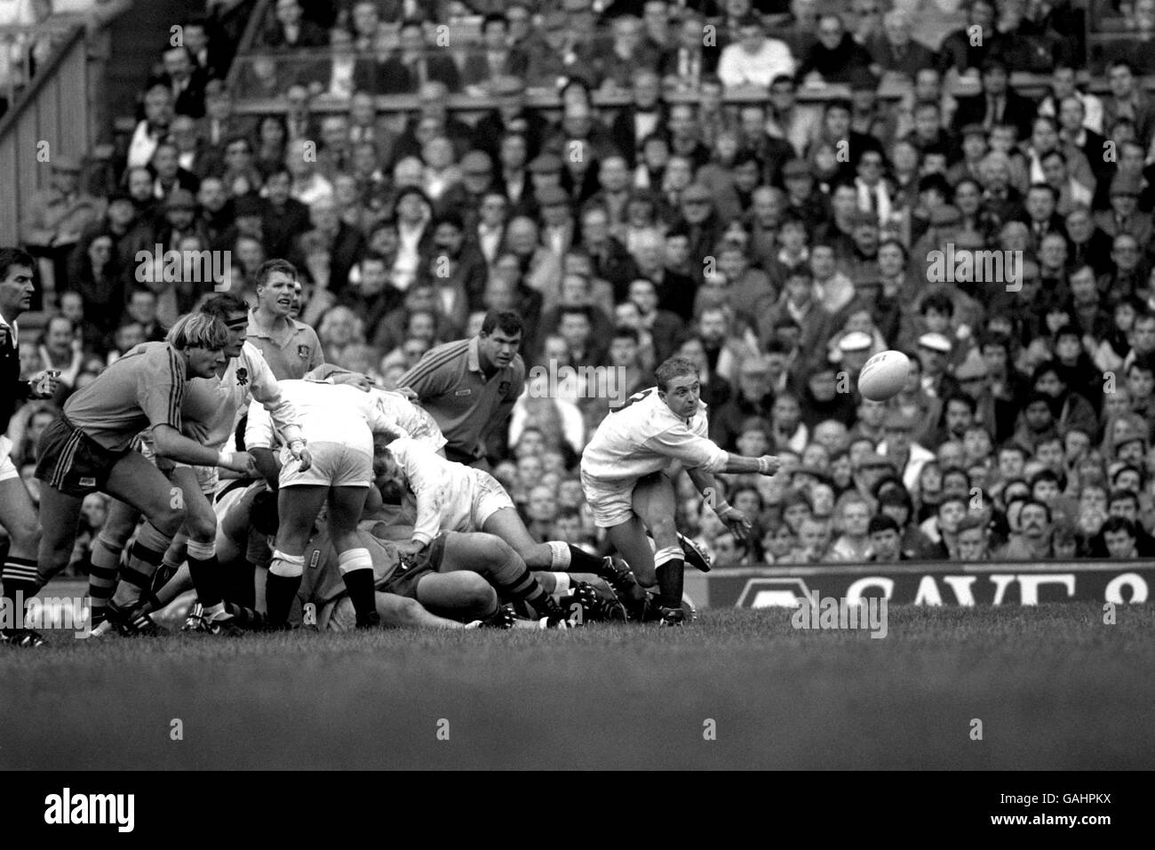 England scrum half dewi morris r feeds his backs hi-res stock ...