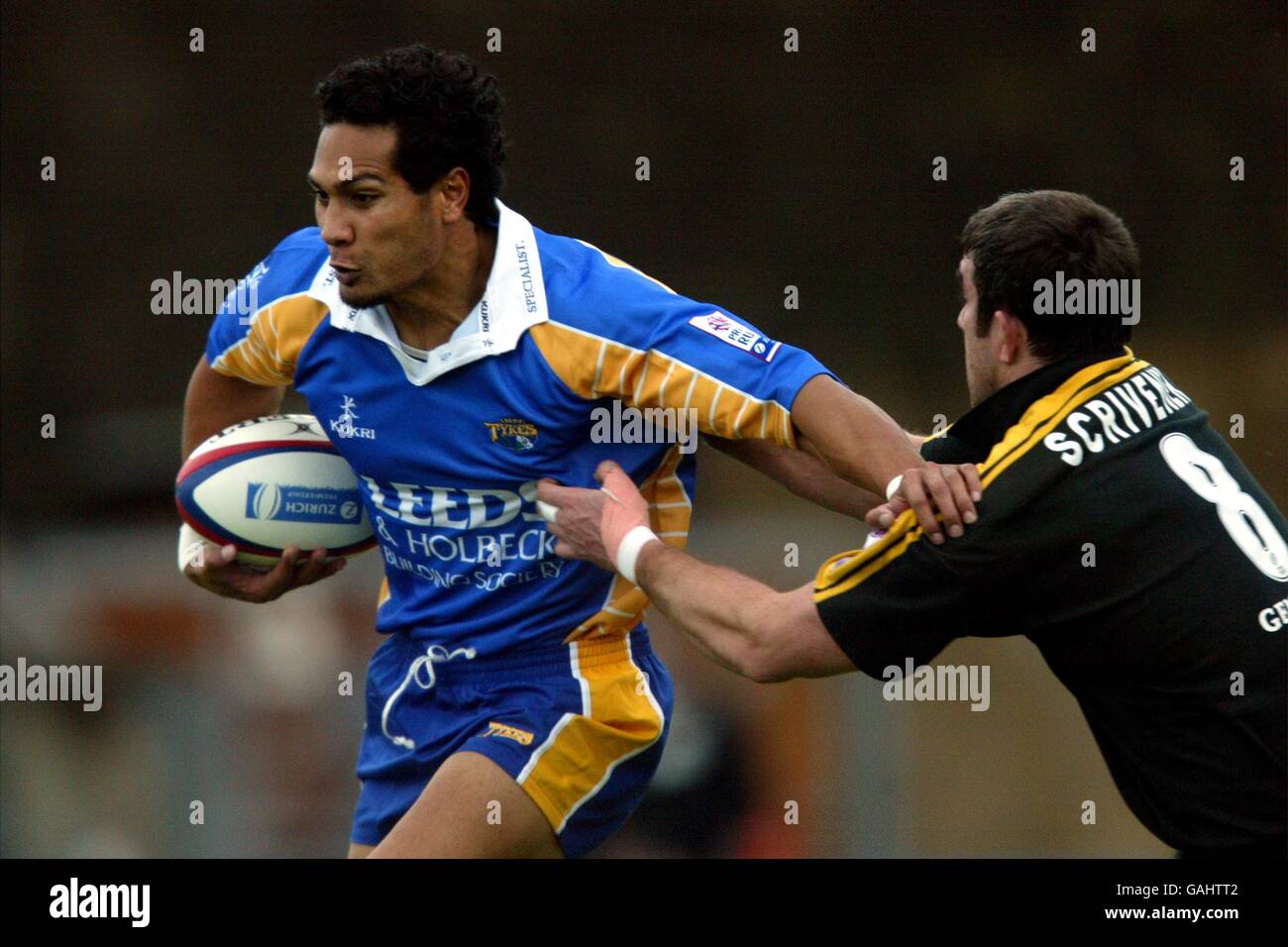 Peter scrivener wasps hi-res stock photography and images - Alamy