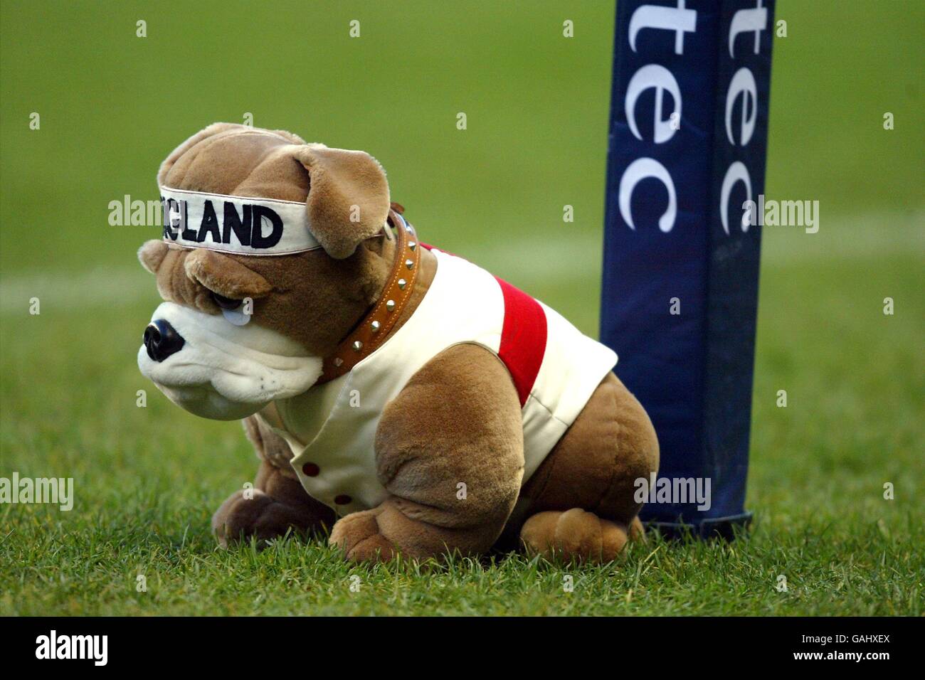 Rugby Union - International Friendly - England v South Africa. An ...