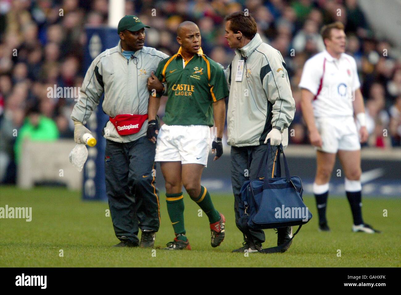 Bolla conradie hi-res stock photography and images - Alamy