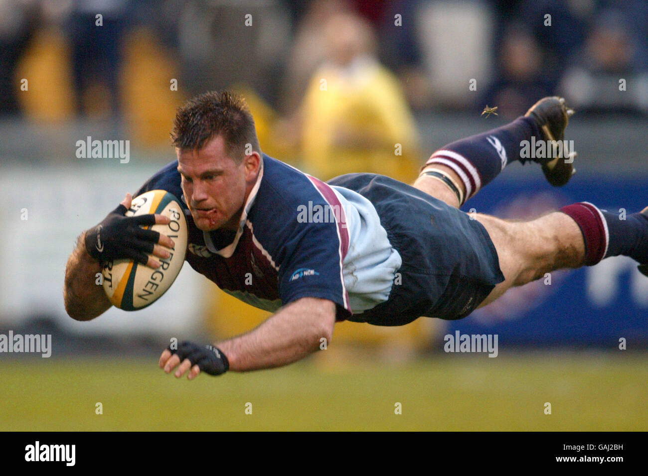 Rugby union powergen cup sixth round bristol shoguns v rotherham hi-res ...