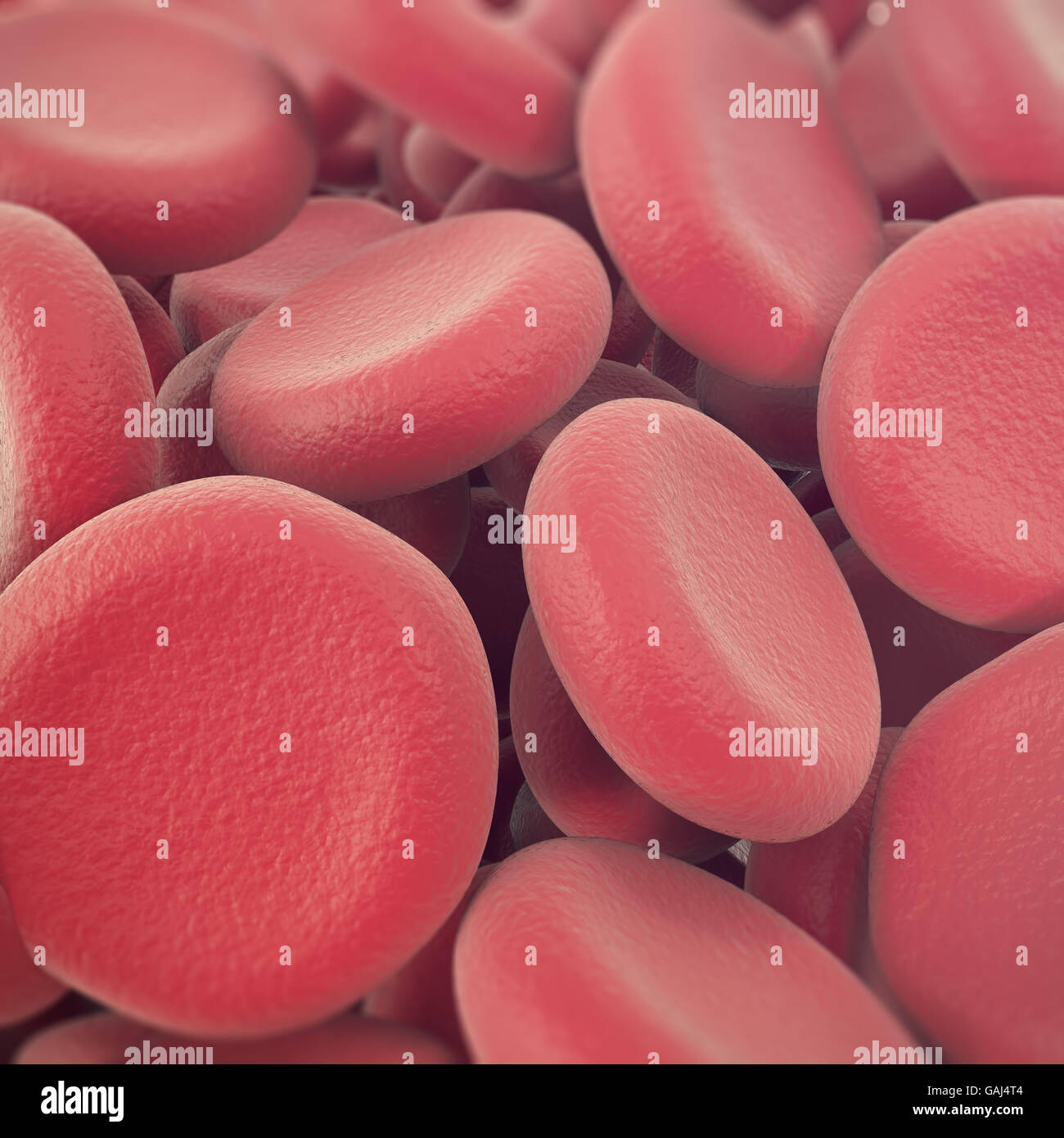 Abstract red blood cells, erythrocytes illustration, scientific ...