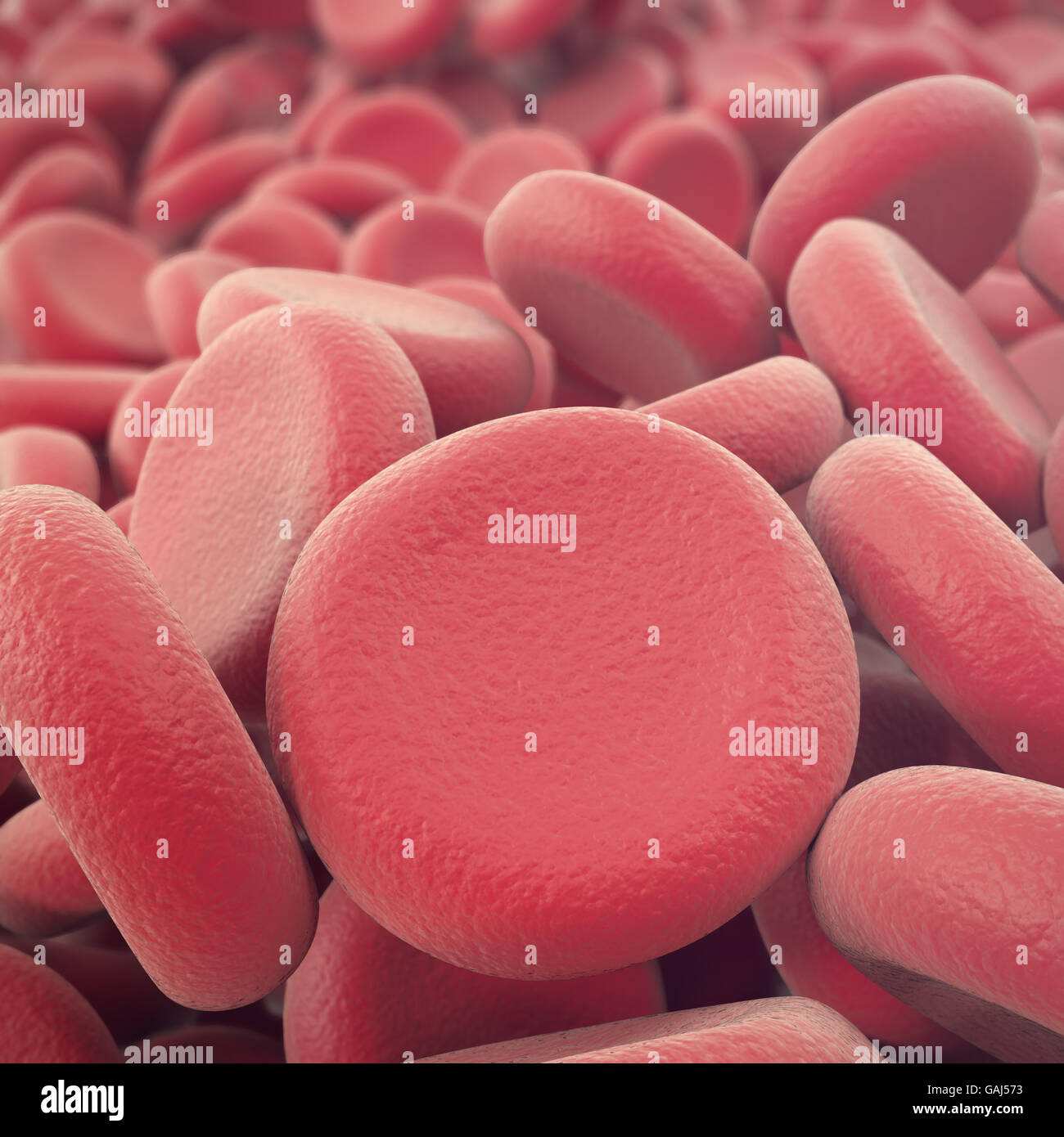 Abstract red blood cells, erythrocytes illustration, scientific ...