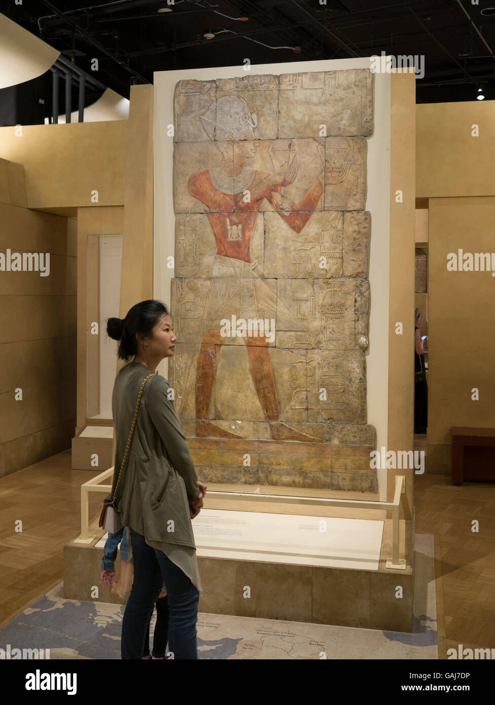 Art exhibits in Royal Ontario Museum, Toronto, Canada Stock Photo - Alamy