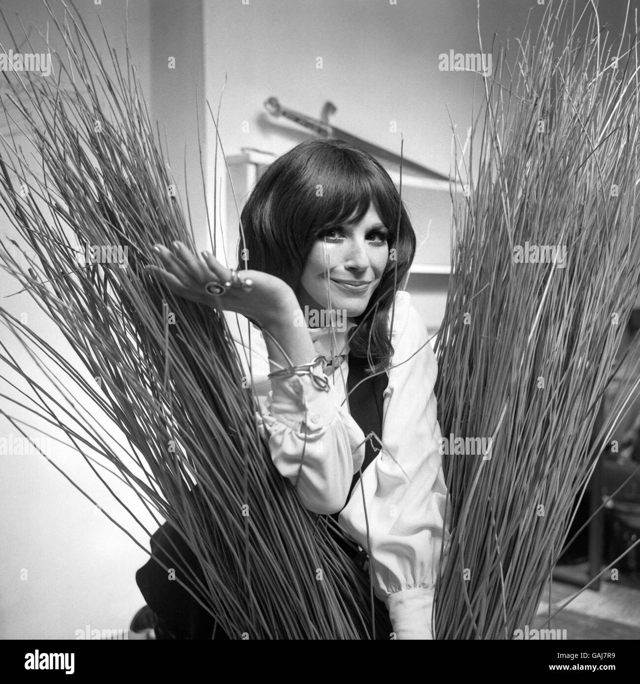 Fenella fielding hi-res stock photography and images - Alamy
