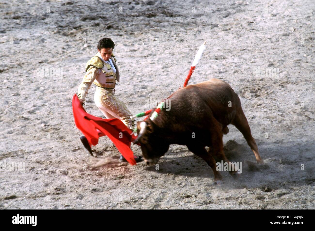 Bullfighting. Bullfight in northern Portugal Stock Photo - Alamy