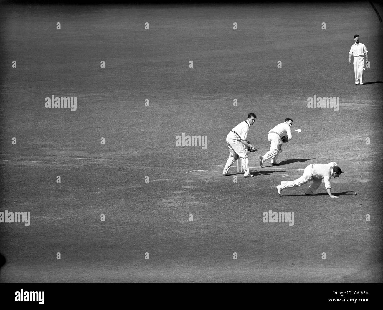 Don taylor hi-res stock photography and images - Alamy