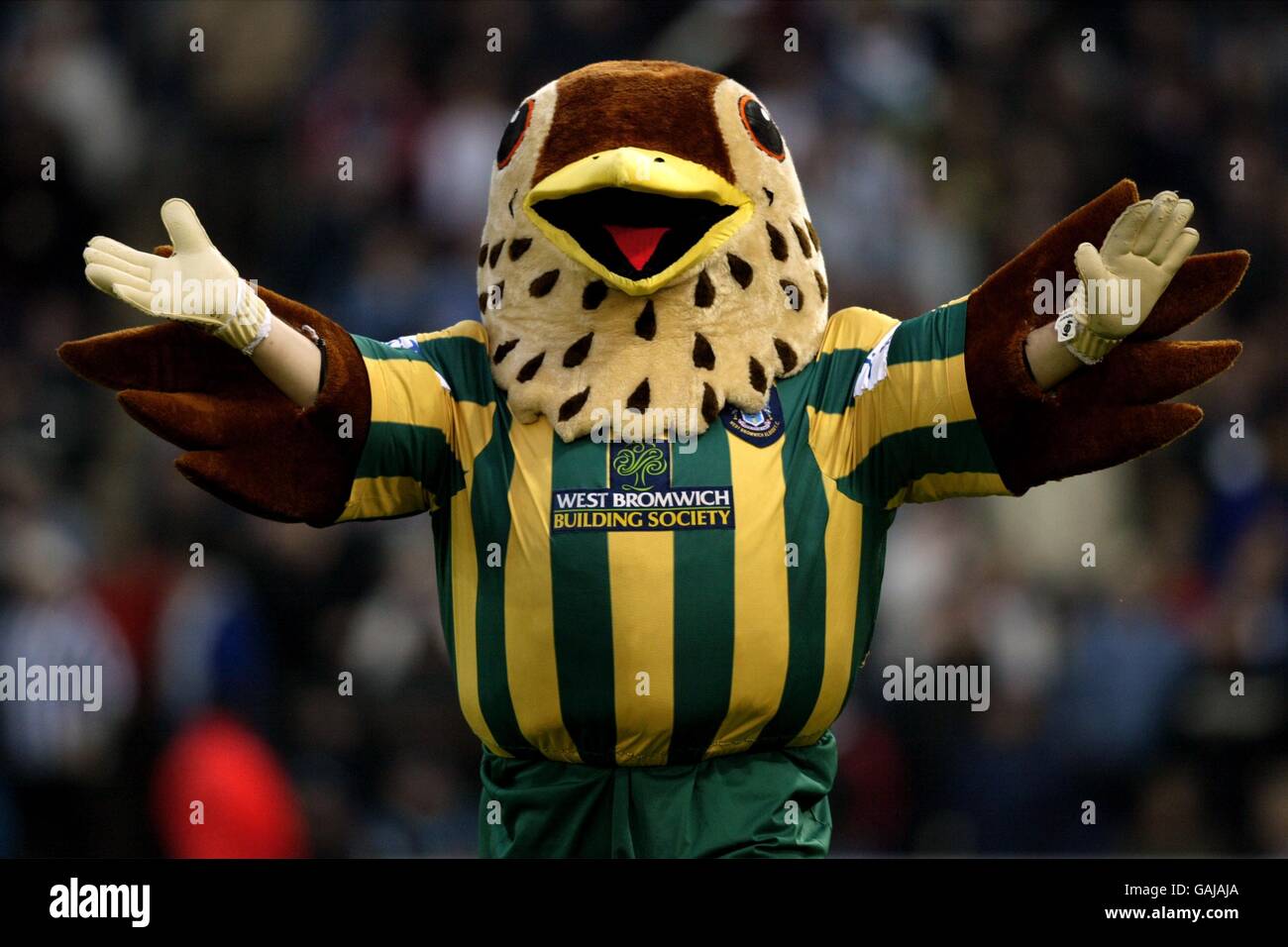 West bromwich albions mascot baggie bird hi-res stock photography and ...