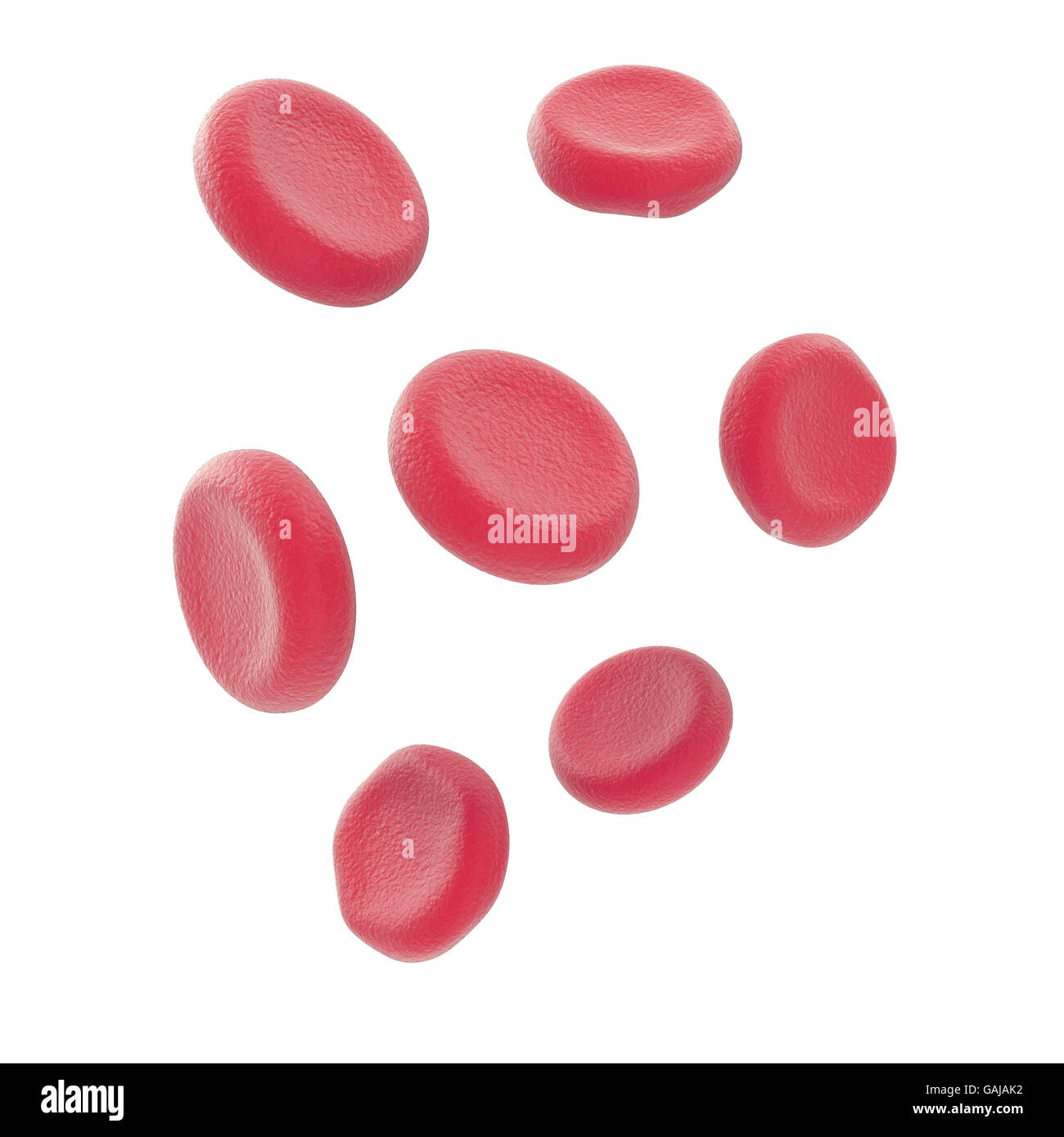 Red blood cells flat hi-res stock photography and images - Alamy