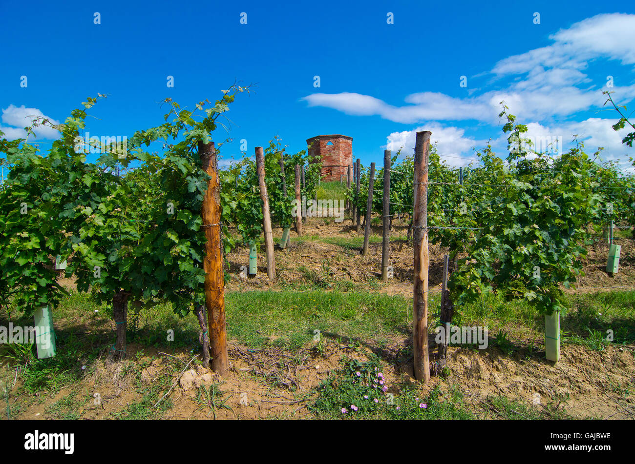 Vineyard watchtower hi-res stock photography and images - Alamy