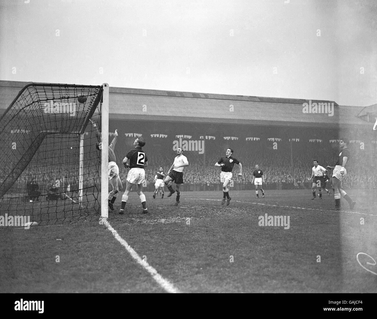 Brown header Black and White Stock Photos & Images - Alamy