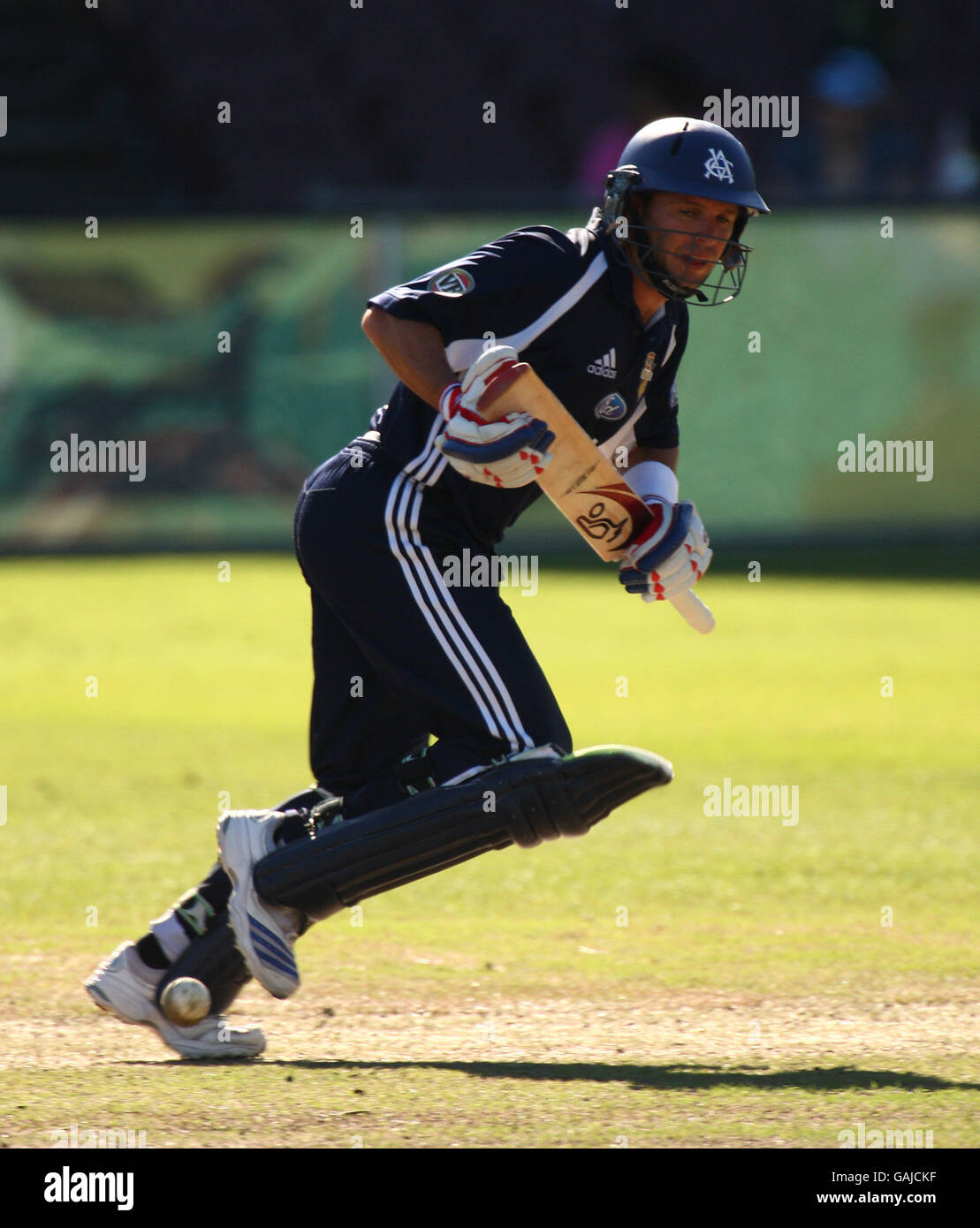 Cricket - Ford Ranger One Day Cup - Speed Blitz Blues v Victoria ...