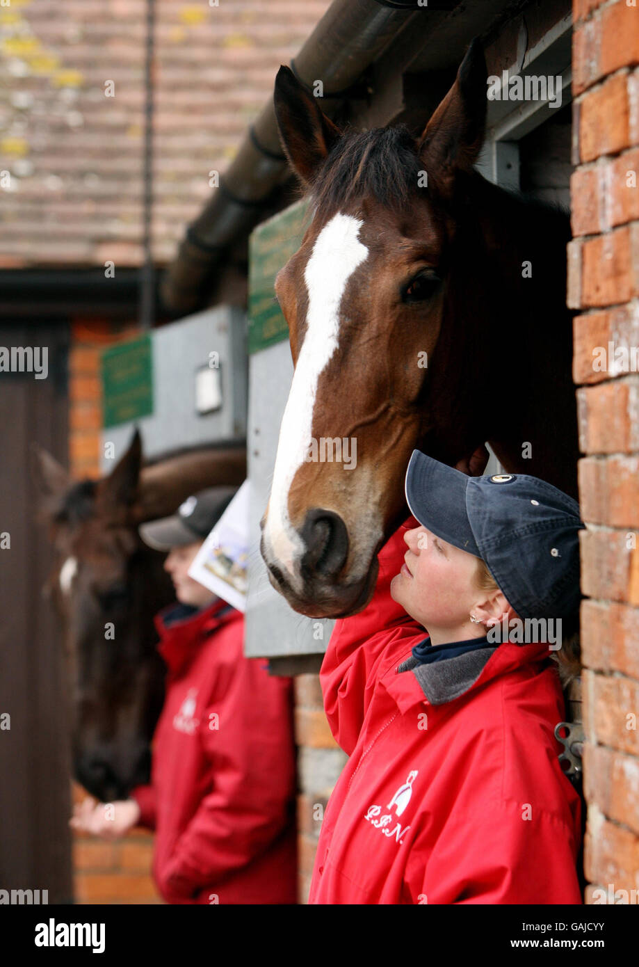 Horse racing visit to paul nicholls stables ditcheat hi-res stock ...