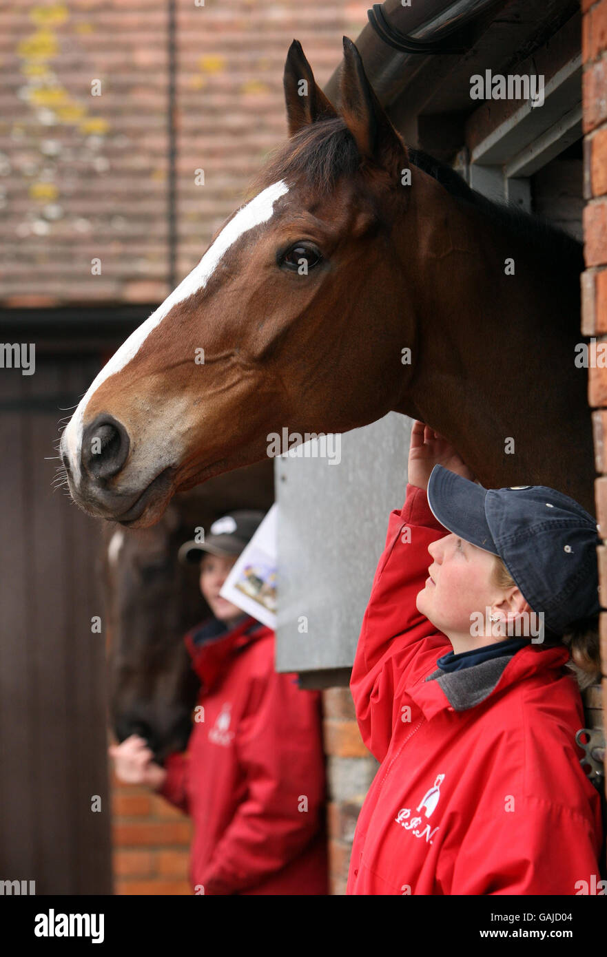 Kauto Star with stable hand Sonja Warburton at Paul Nicholls Stables in ...