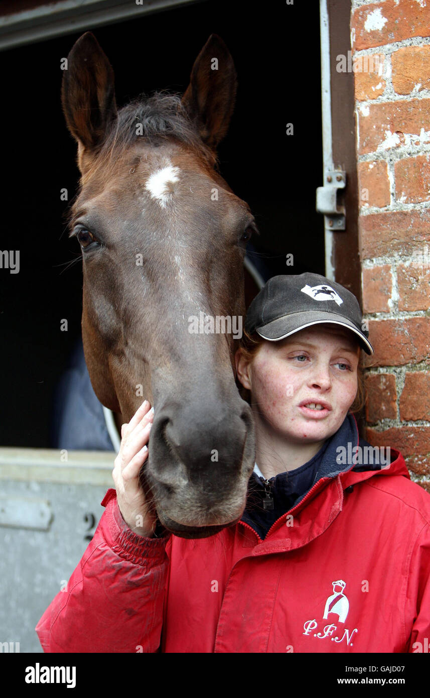 Denman at Paul Nicholls Stables in Ditcheat, Somerset Stock Photo - Alamy