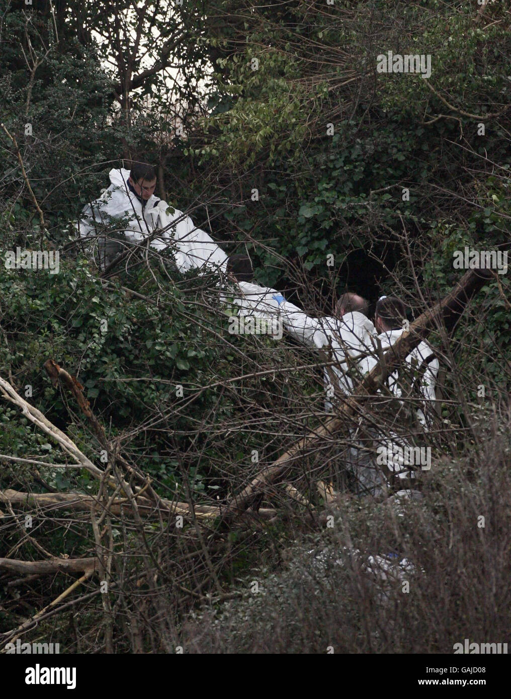 Forensic experts remove a body from the scene at Bray Head, Co Wicklow ...