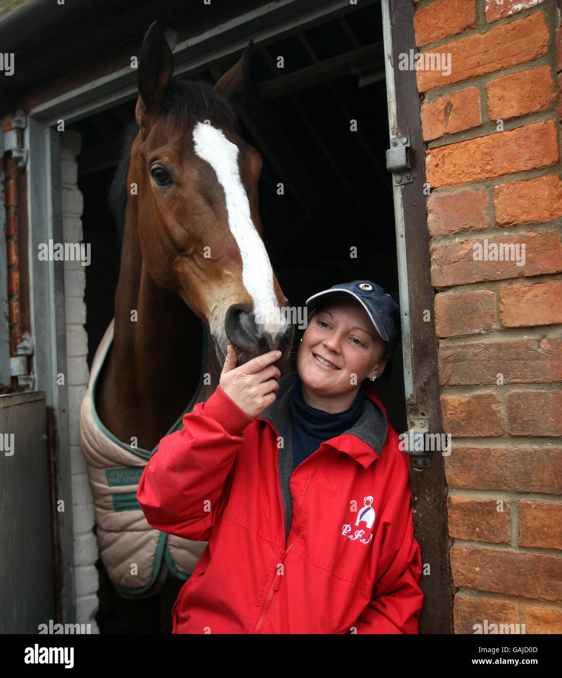 Horse Racing - Visit to Paul Nicholls Stables - Ditcheat Stock Photo ...