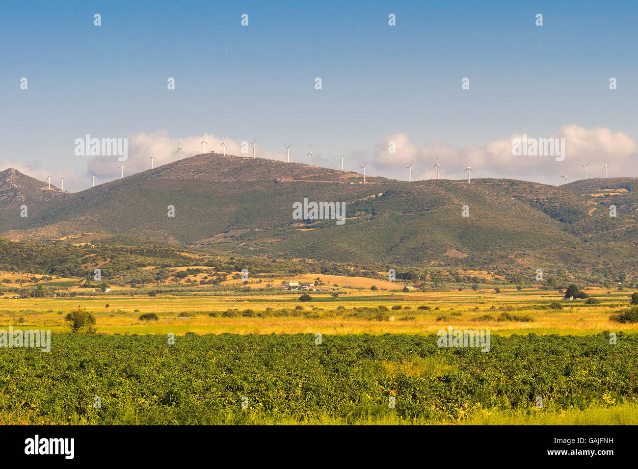 Landscape at Evia in Greece with a meadow and the wind turbines on top ...