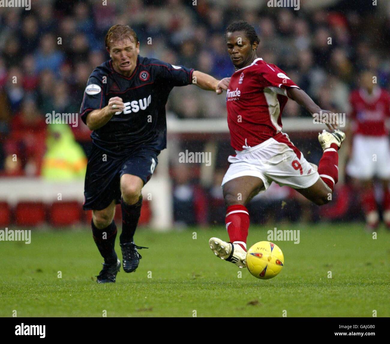 Nottingham Forest's David Johnson and Sheffield United's Stuart McCall ...