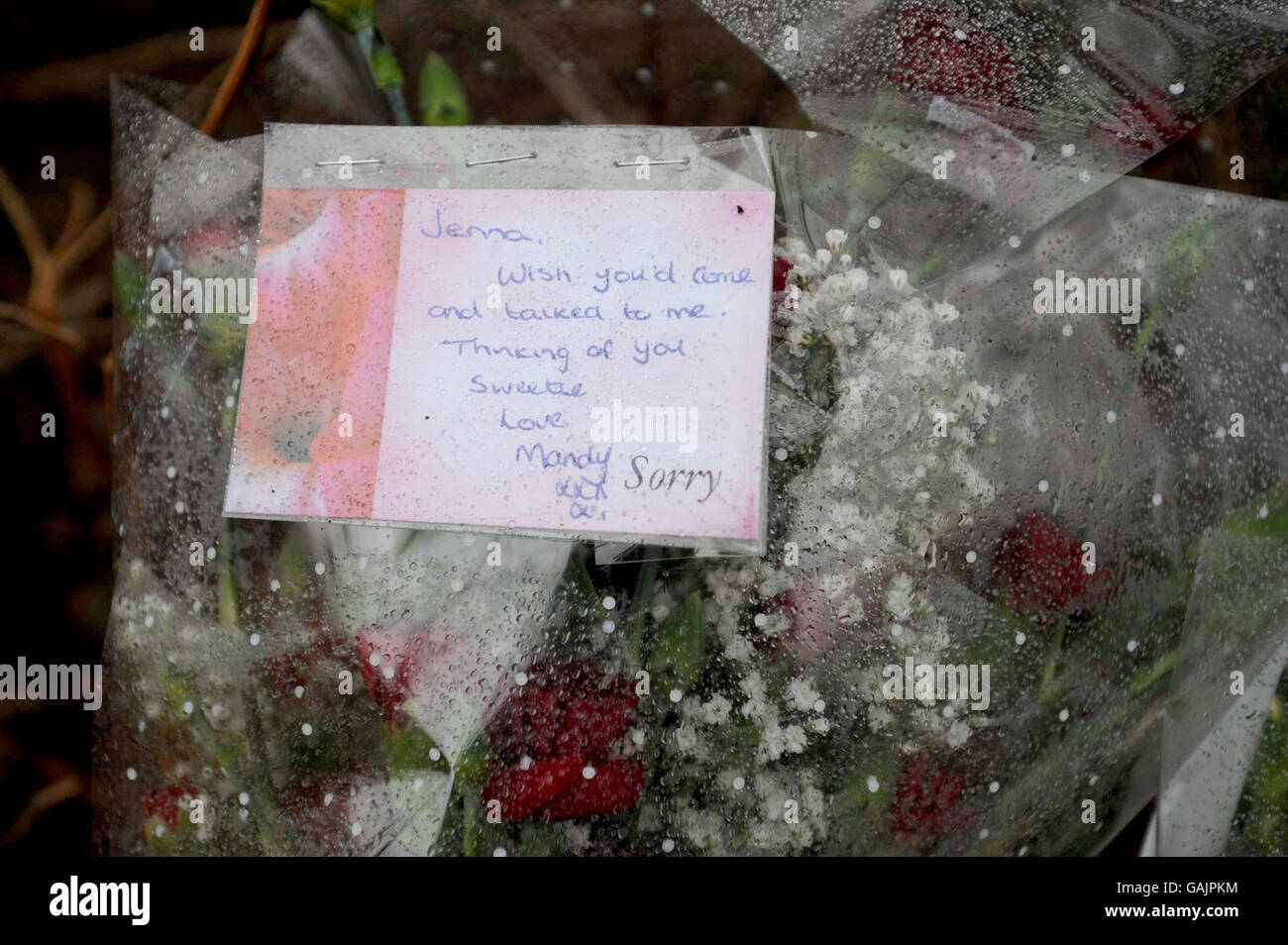 A tribute left on the common at Cefn Cribwr, to dead girl Jenna Parry ...