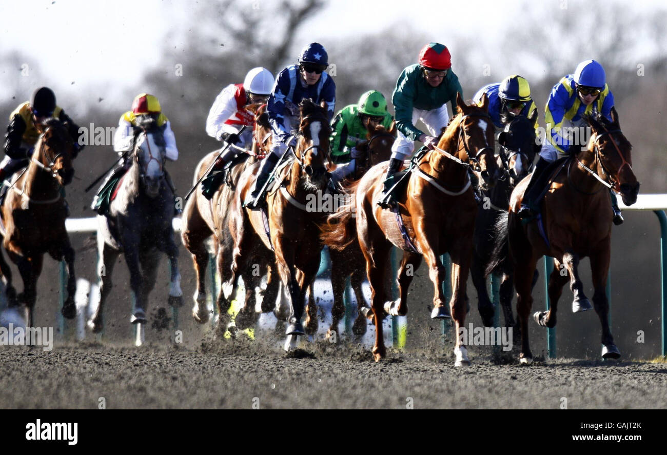 Horse Racing - Lingfield Park Racecourse Stock Photo - Alamy