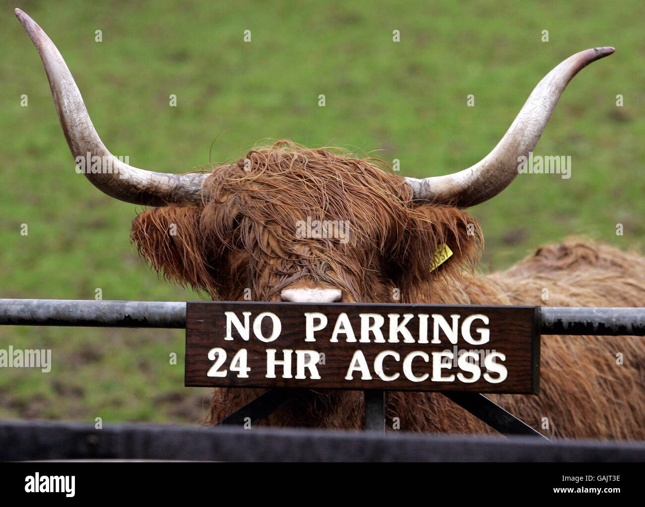 Pollock Park named as Europe's best Stock Photo - Alamy