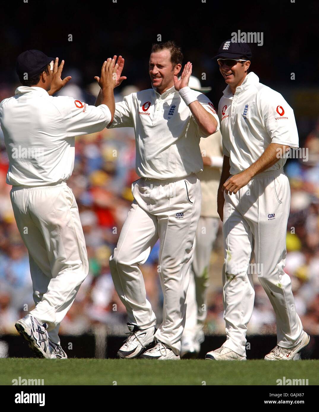 Englands craig white celebrates his wicket of australias damien martyn ...
