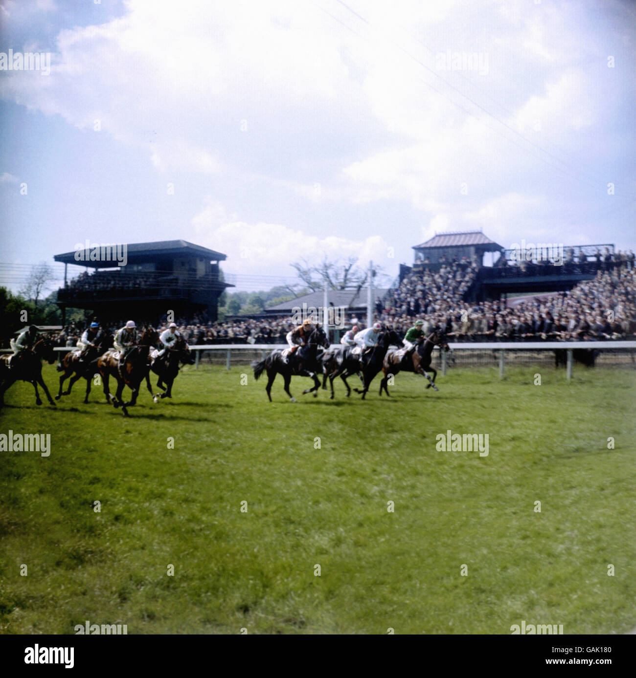 Alexandra park horse hi-res stock photography and images - Alamy