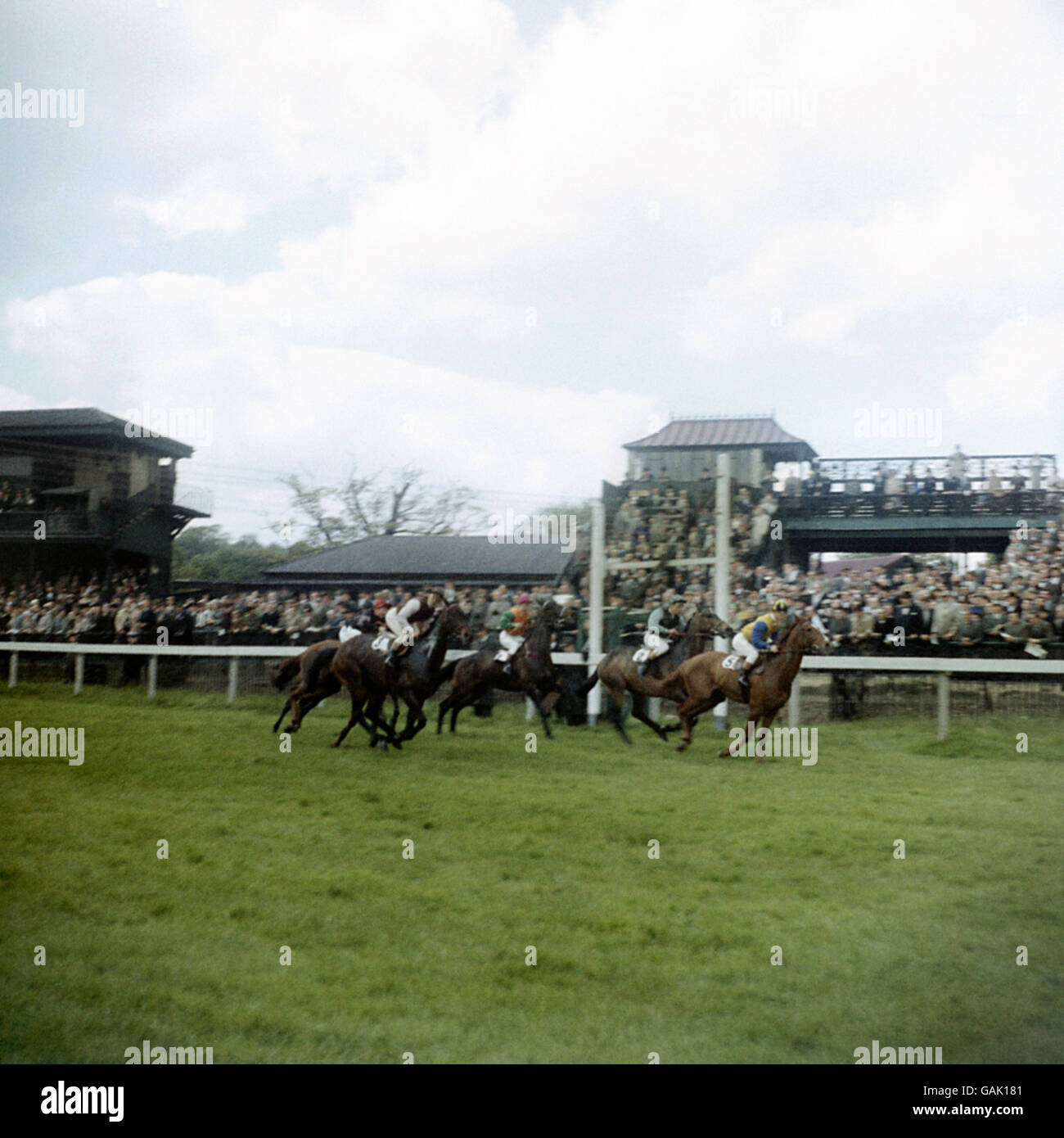 Alexandra park horse hi-res stock photography and images - Alamy